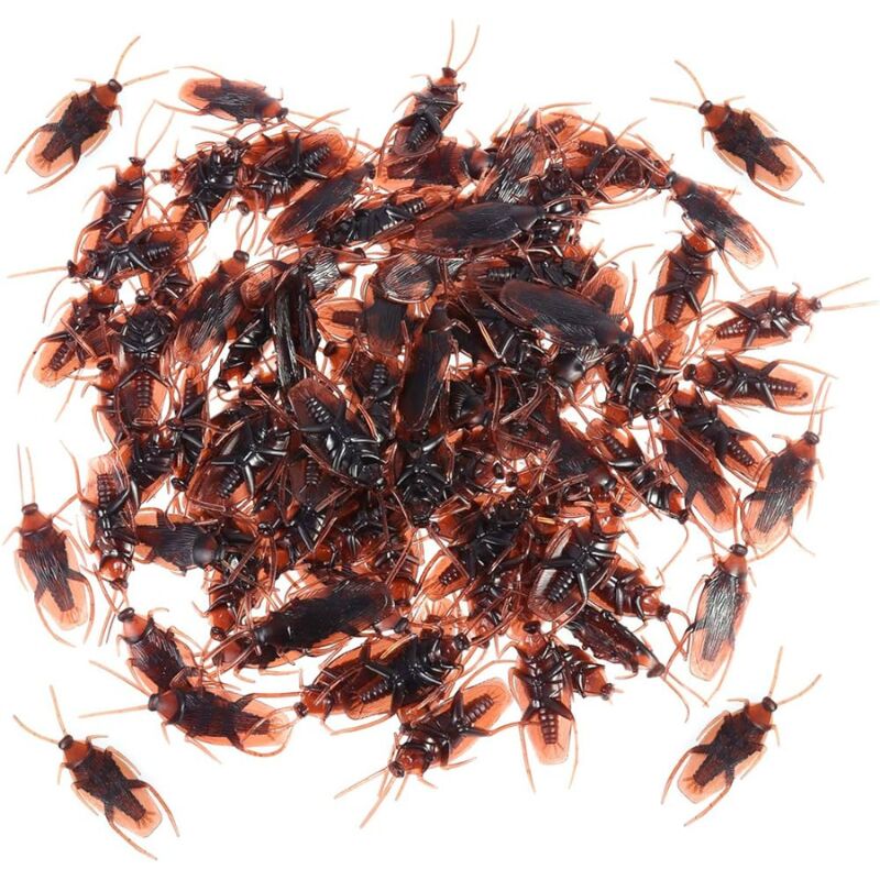 Insectes en Plastique | Farce & Attrape